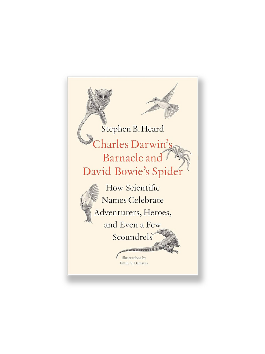 Charles Darwin's Barnacle and David Bowie's Spider – Minoa Books