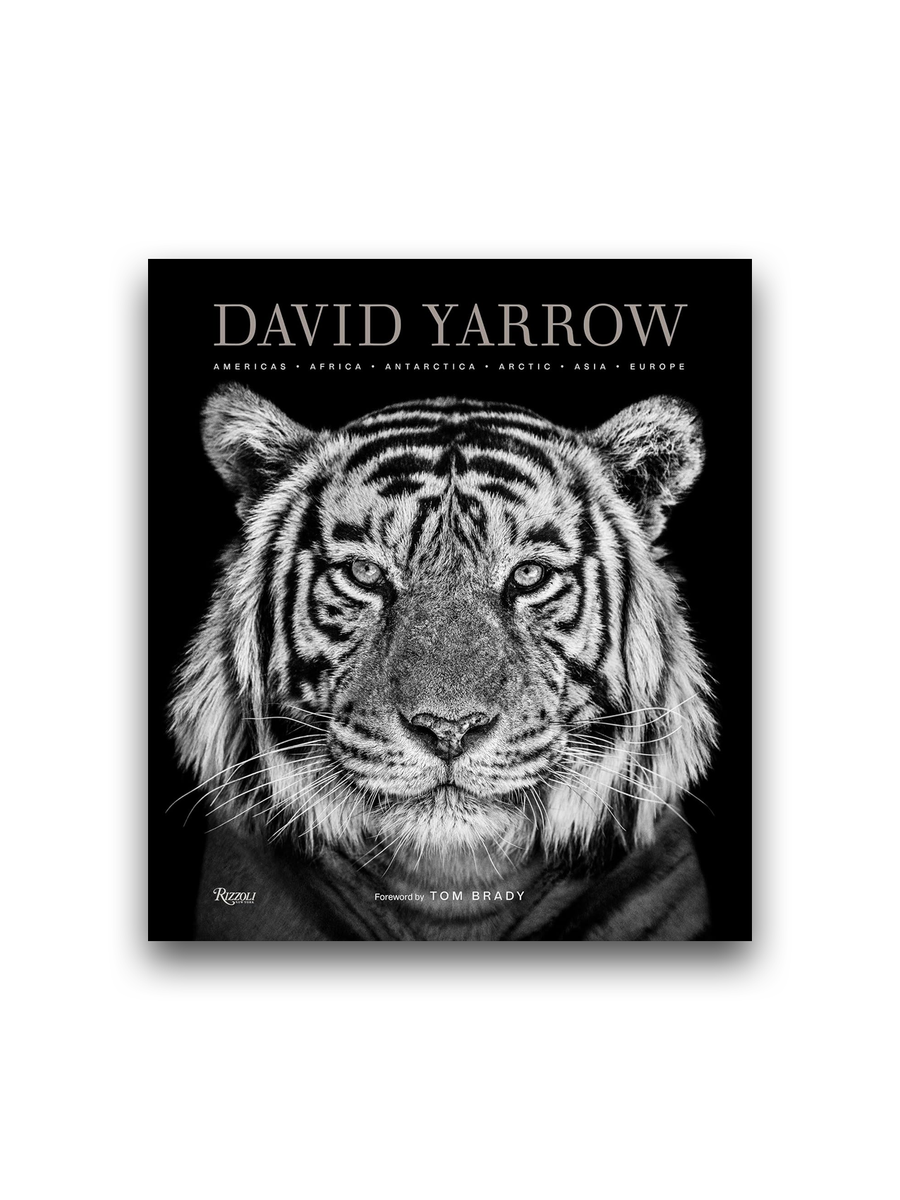 David Yarrow Photography – Minoa Books